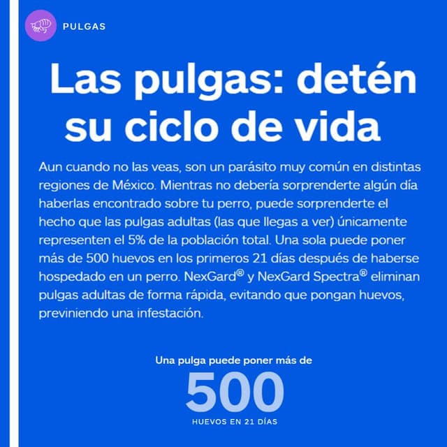 NexGard Spectra Antiplagas Masticable Externo e Interno para Perro de ...